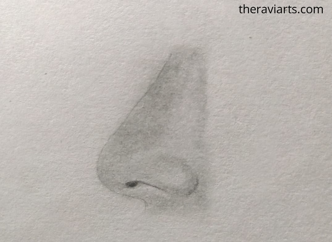 How To Draw A Realistic Nose Side View