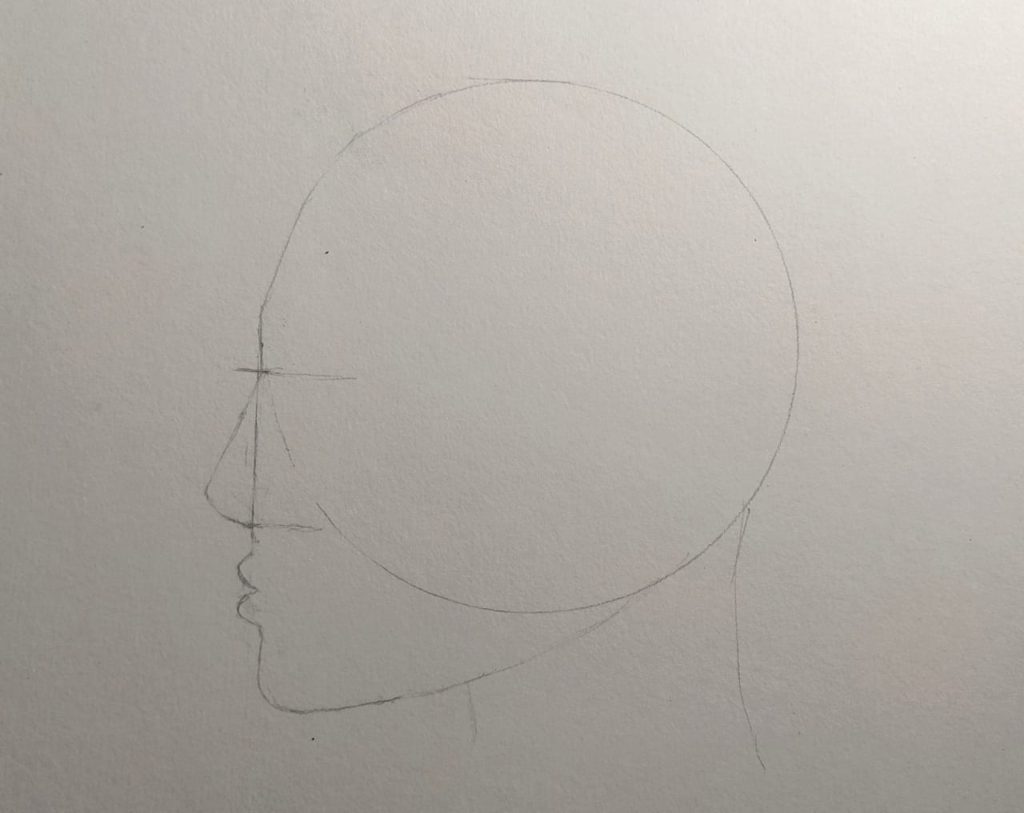 How To Draw A Face From The Side Step By Step