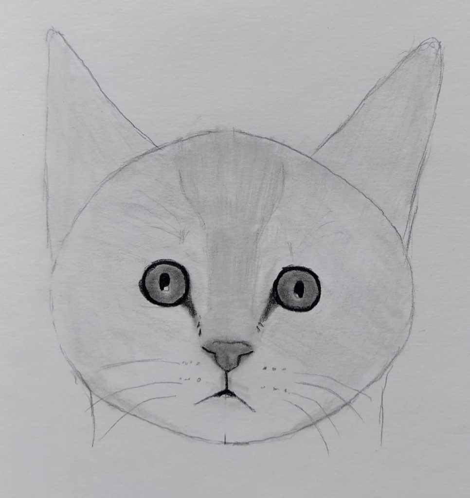How To Draw A Cat For Kids » Step By Step>>The Ravi arts Animal Drawing