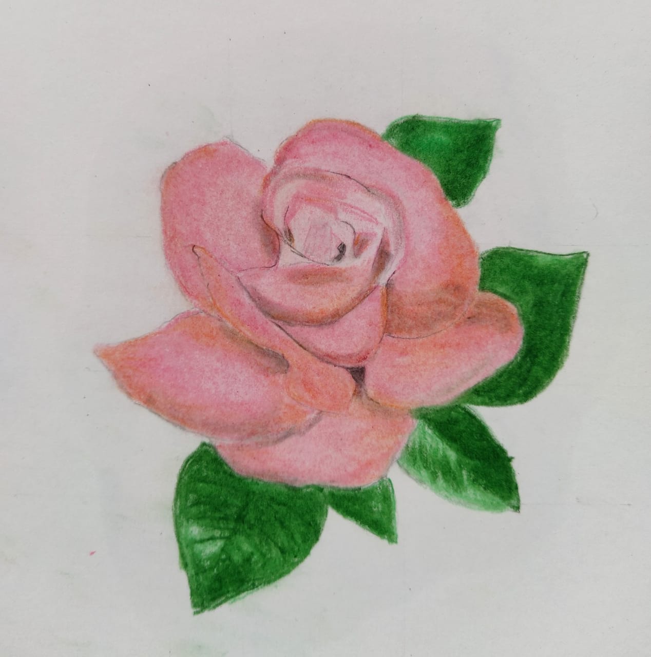 How To Draw A Rose Step By Step For Kids The Ravi Arts